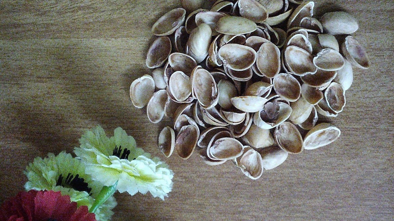 pista shell bottle art - YouTube