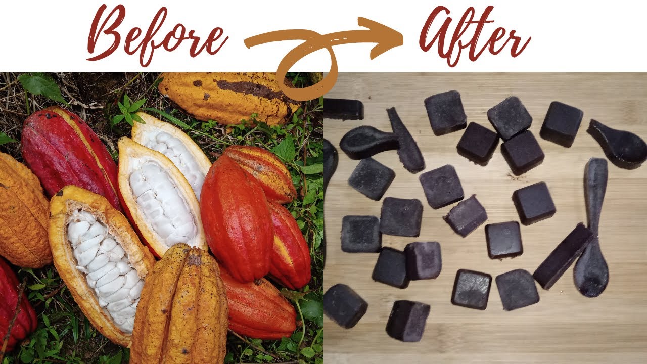The process of making chocolate from scratch (Longer Version) - YouTube