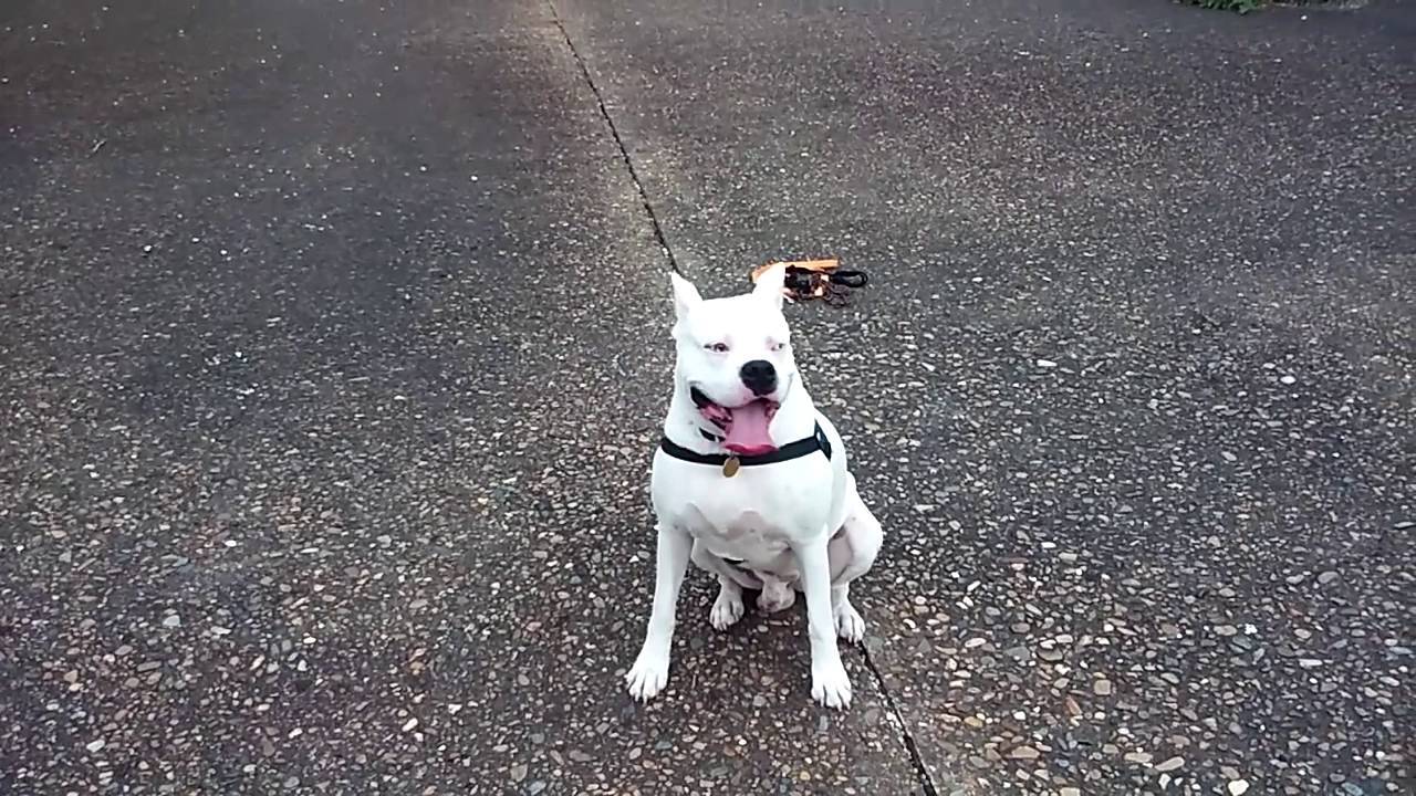 August 4, 2016 - YouTube