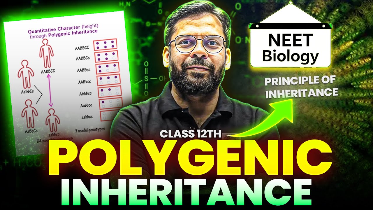 Polygenic Inheritance |Class 12 NEET Biology | Principle of Inheritance ...