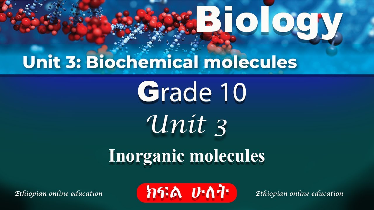 Biology grade 10 unit 3 part 2 | Biochemical molecules | Inorganic ...