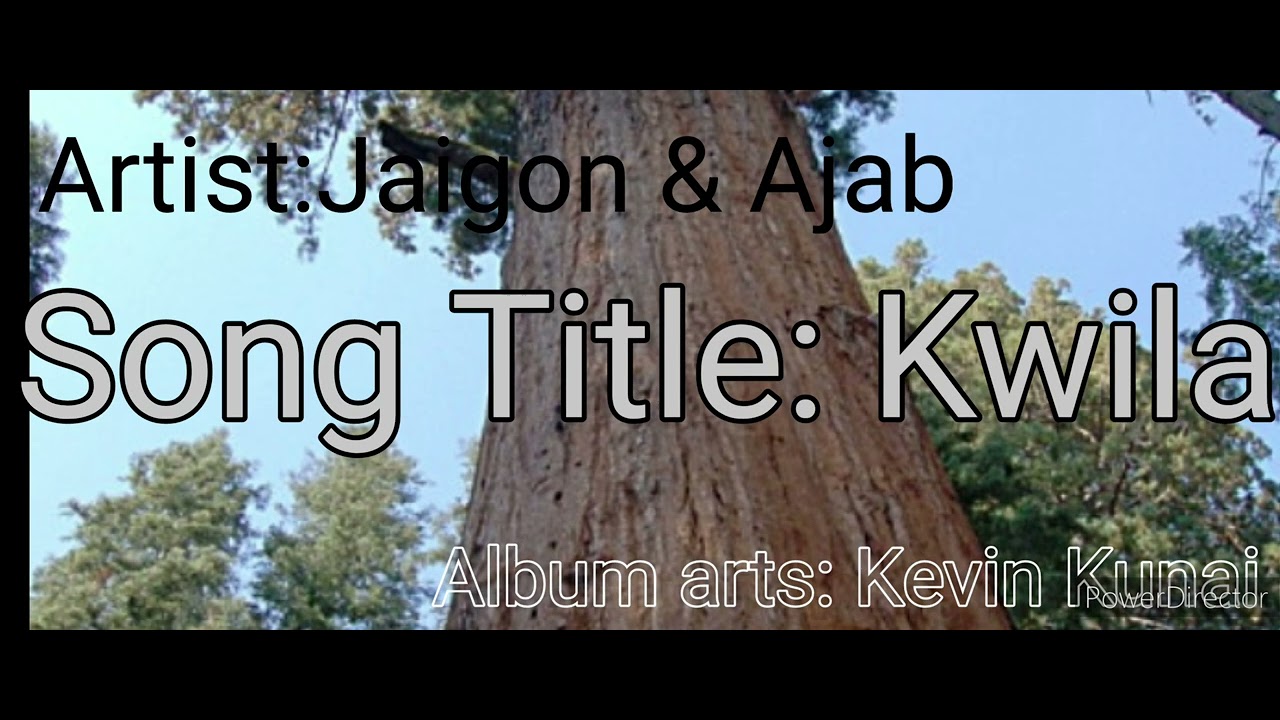 Kwila Tree - YouTube