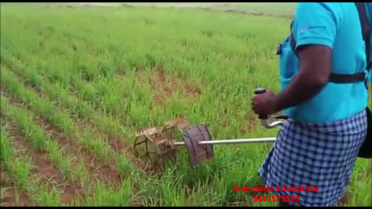 Multipurpose weeder in dry paddy - YouTube