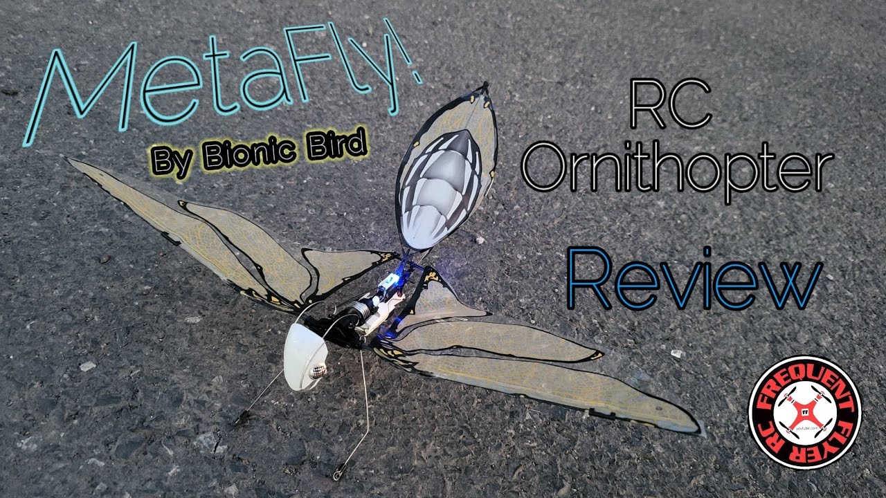 Metafly Bionic Bug Ornithopter from Bionic Bird - Review - YouTube