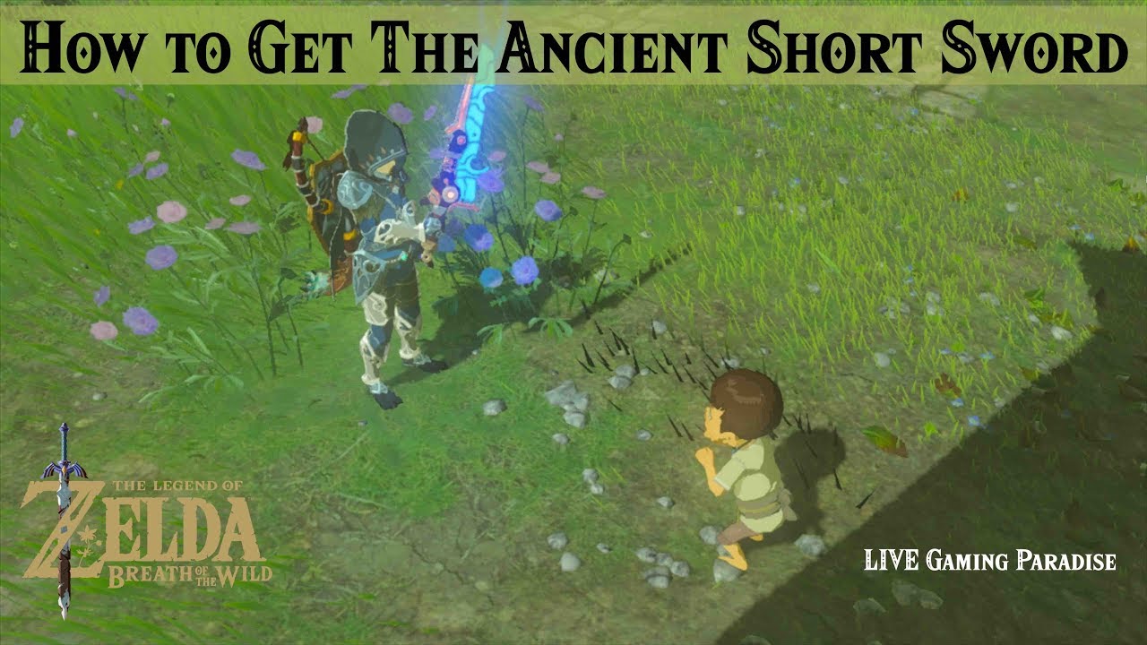Breath of the Wild | How To Get The Ancient Short Sword | Guide - YouTube