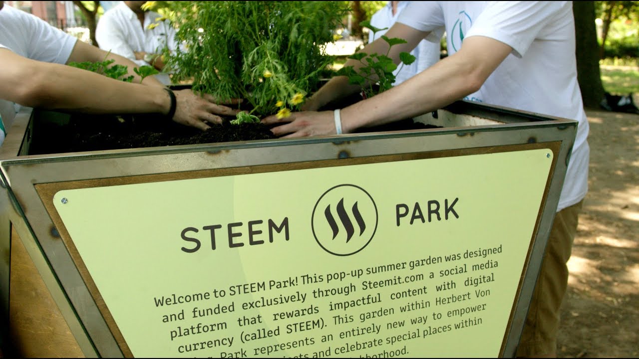 The Park That Blockchain & Cryptocurrency Built : STEEM PARK - YouTube
