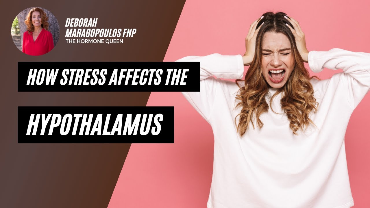 How Stress Affects the Hypothalamus - YouTube