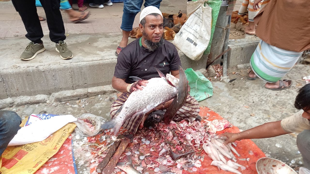 Excellent Katla fish cutting skills | Katla Fish | ARS fish cutting by ...