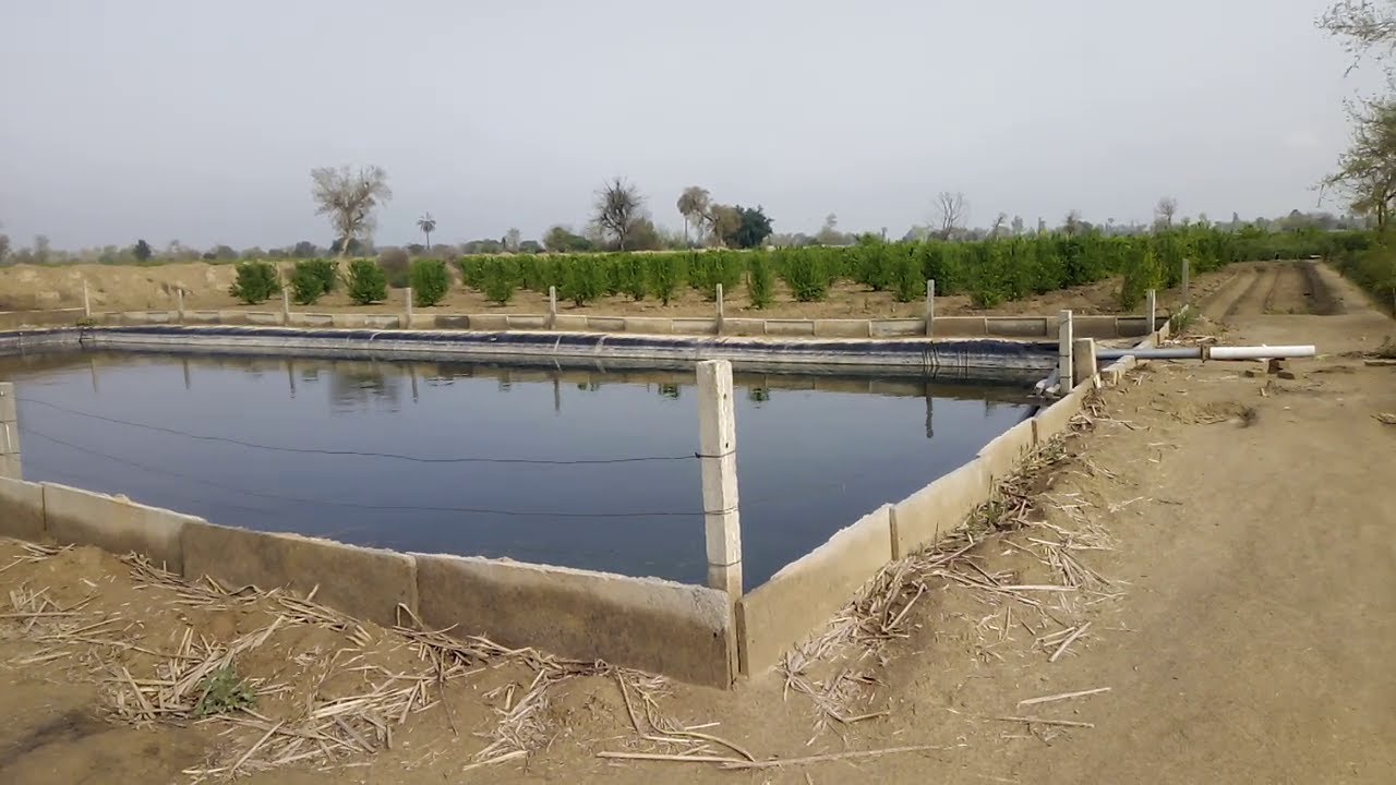 Storage of water for irrigation | Water Pond | Crops and garden ...