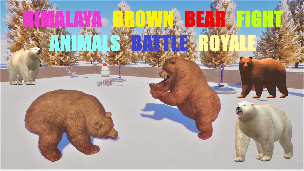 ANIMALS FIGHT IN PLANET ZOO- HIMALAYA BROWN BEAR FIGHT!!! #1 - YouTube