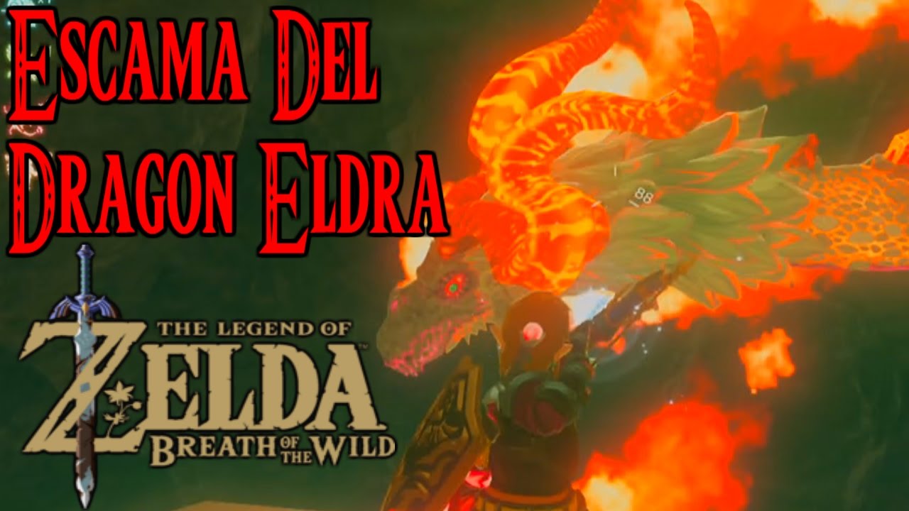 Escama del dragon Eldra - YouTube