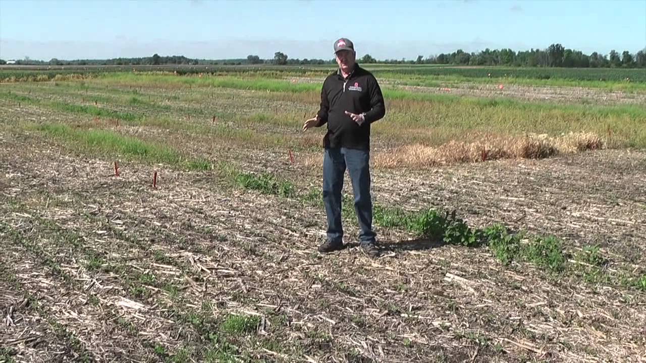 Approaches to Marestail Control with Enlist and Xtend Systems - First Look at 2015 Research ...