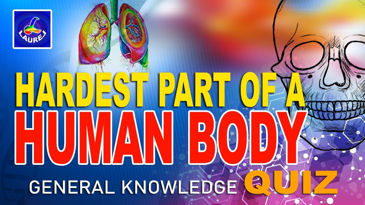 Human Body GK 25 Questions & Answers - YouTube