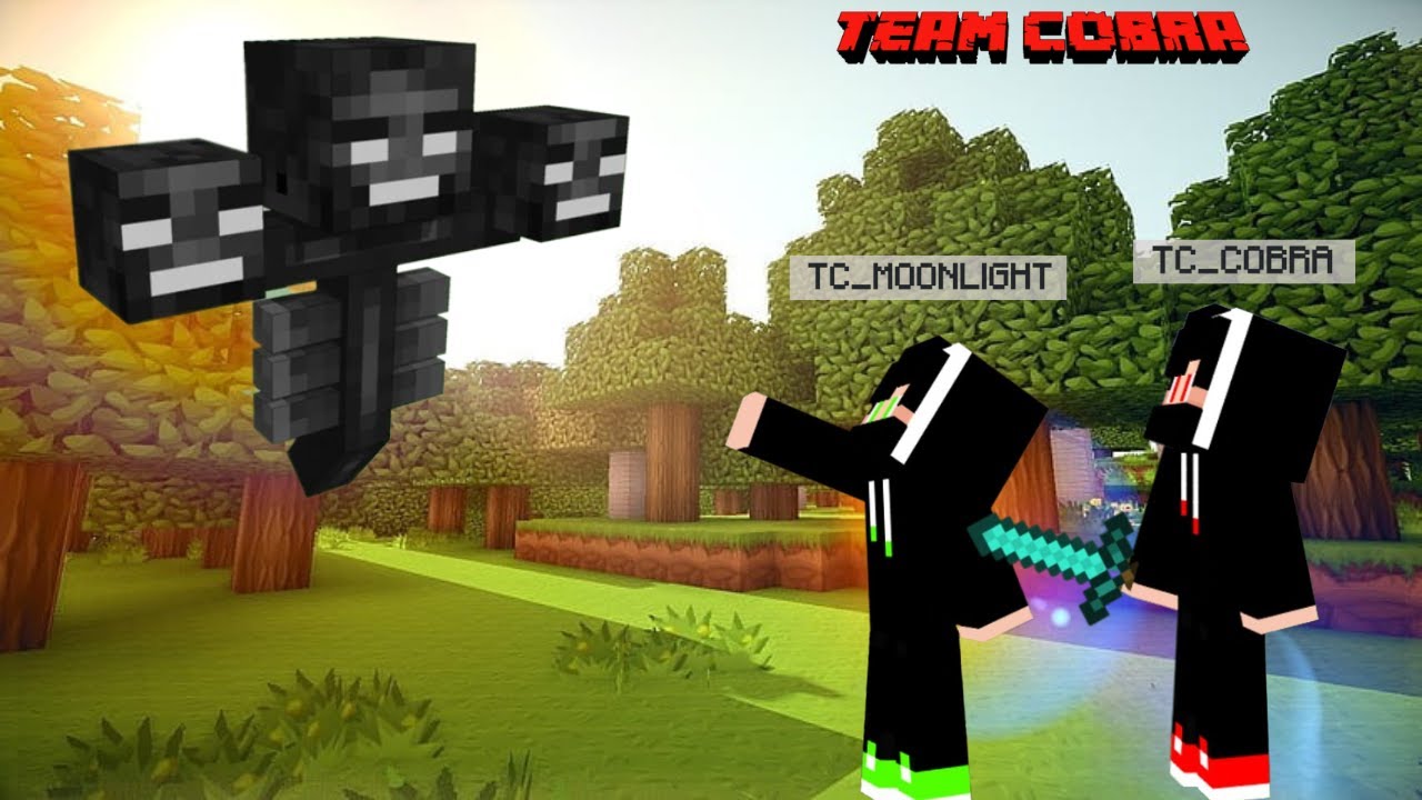 WITHER FIGHT | TC_COBRA & TC_MOONLIGHT | Minecraft Survival | #2 - YouTube