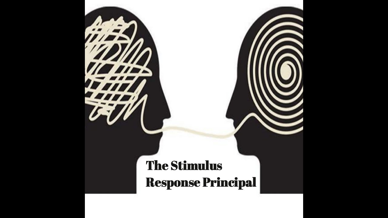 What is Stimulus Response Theory | Stimulus | Response Theory | What is a concept in psychology ...