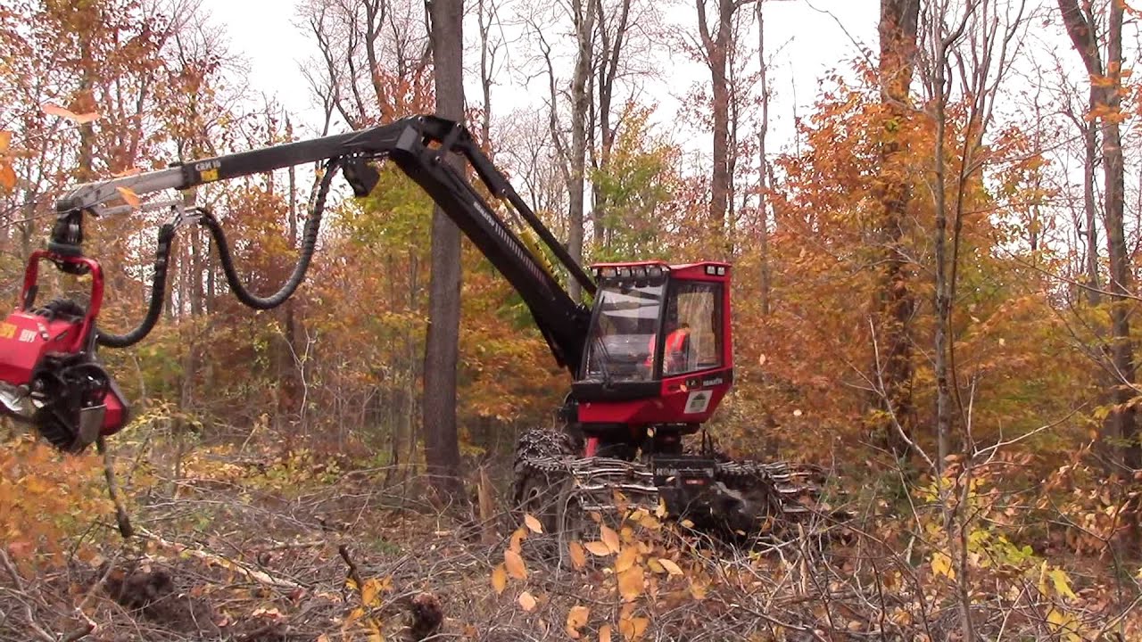 Komatsu 911.5 Wheeled Harvester with Komatsu 365 Dangle Head - YouTube