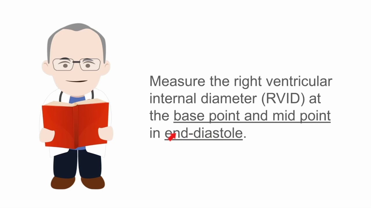 How to use TEE to obain mid-esophageal four-chamber views. - YouTube