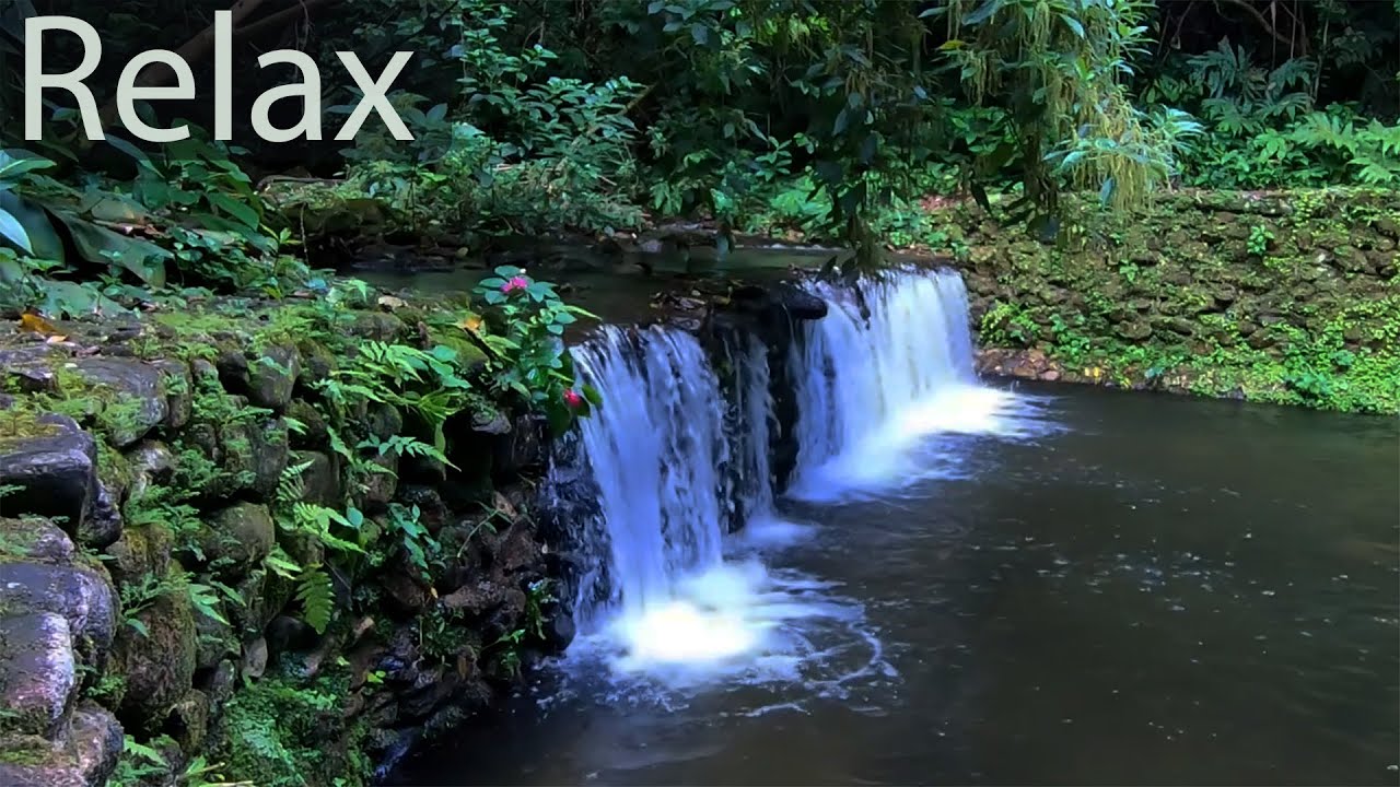 Meditation – Calm the Mind – Zen Music to Meditate with Sounds of ...