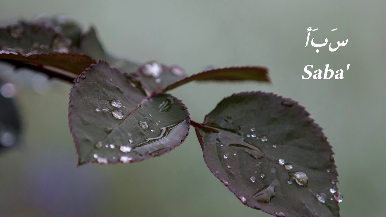 Surah Saba' (سَبَأ) by Mishary Rashid Al Afasy - YouTube