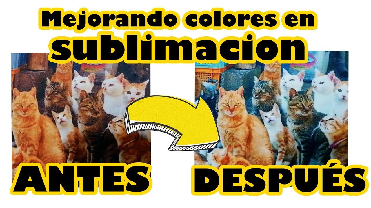 Mejora el color en sublimacion - YouTube
