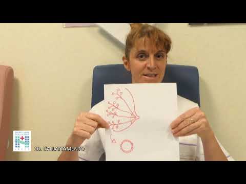 10. L'allattamento: anatomia e benefici