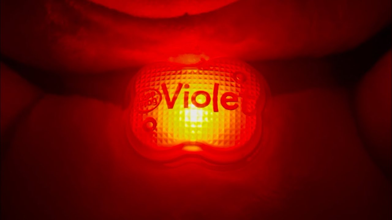 Leapfrog My Pal Violet Smarty Paws Bedtime Music Full 15 Minute Cycle ...