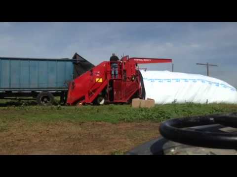 Versa bagging - YouTube