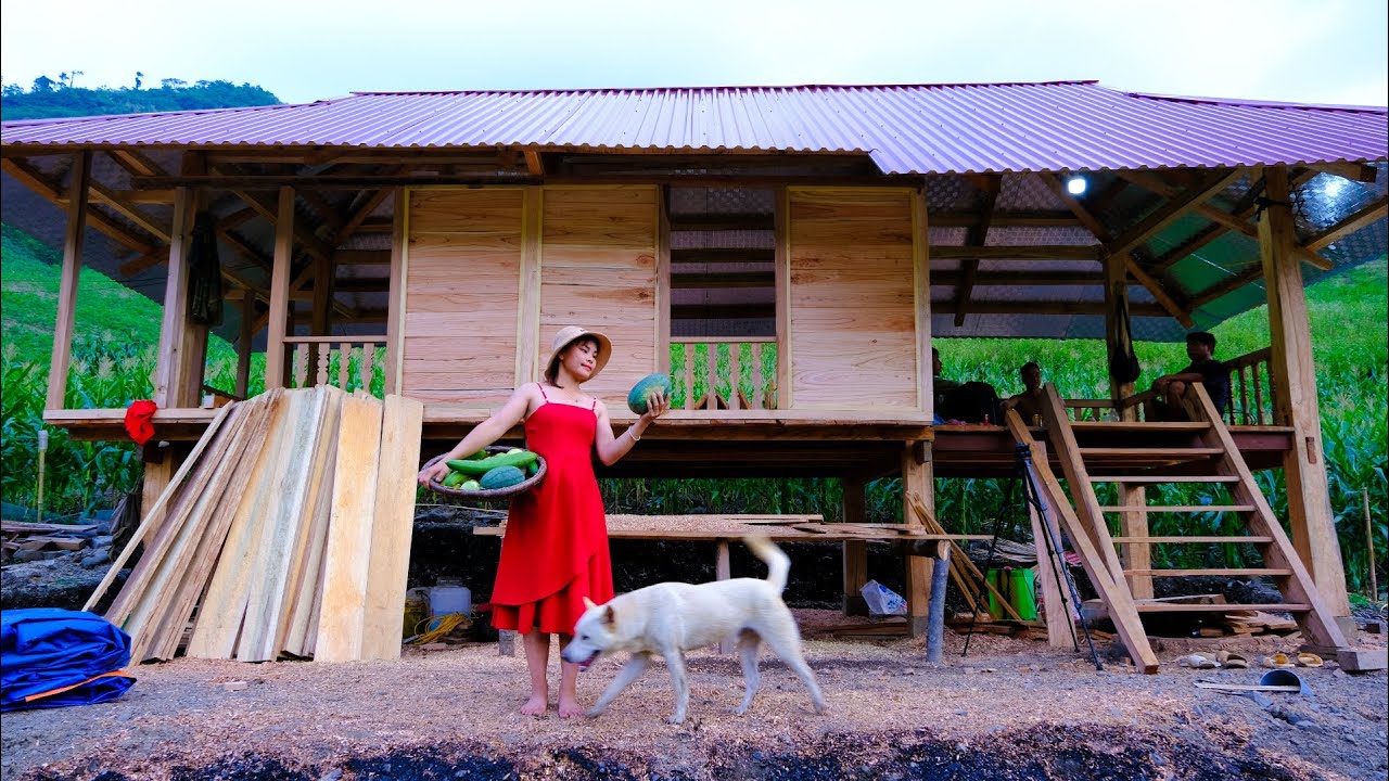 Building a new life episode 44 | Harvest melons after many days of care ...