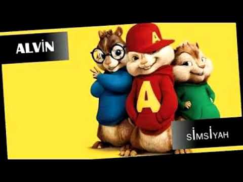 Alvin Ve Sincaplar Mustafa Ceceli Simsiyahım