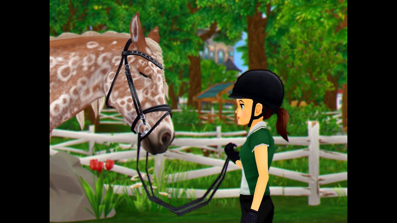 Welsh pony update!!!! And more! - YouTube