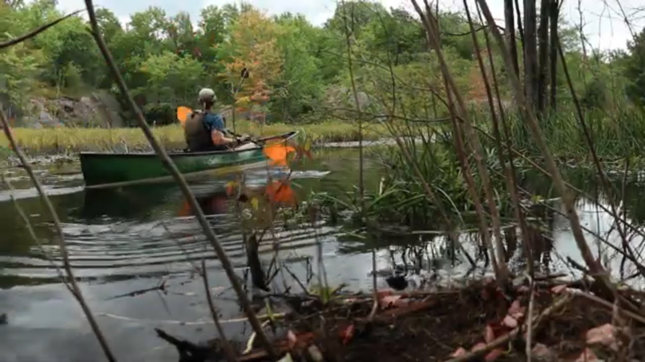 Solo Canoe Camping & Fishing Trip In Remote Wilderness, No Talking Pt.1 ...