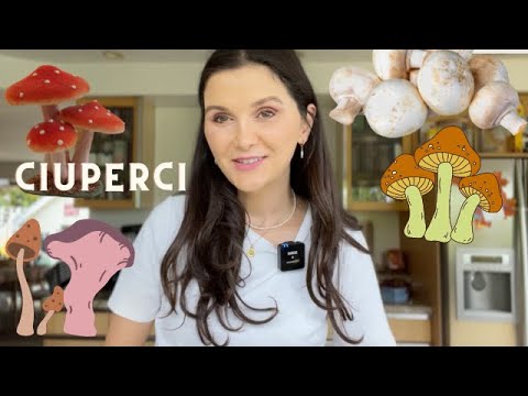 Diferite tipuri de ciuperci si de ce le mananc in fiecare zi | Reteta ...