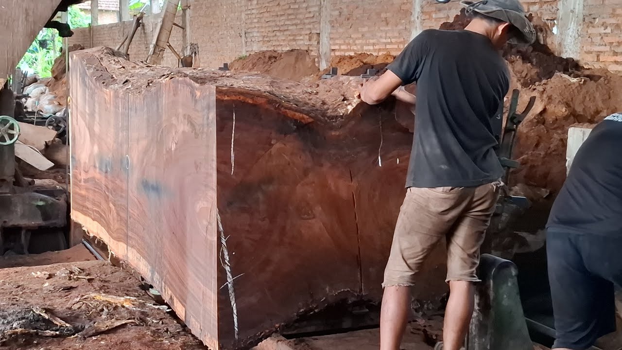 Woodworking ! Perjuangan mengolah kayu besar di iris jadi papan lurus ...