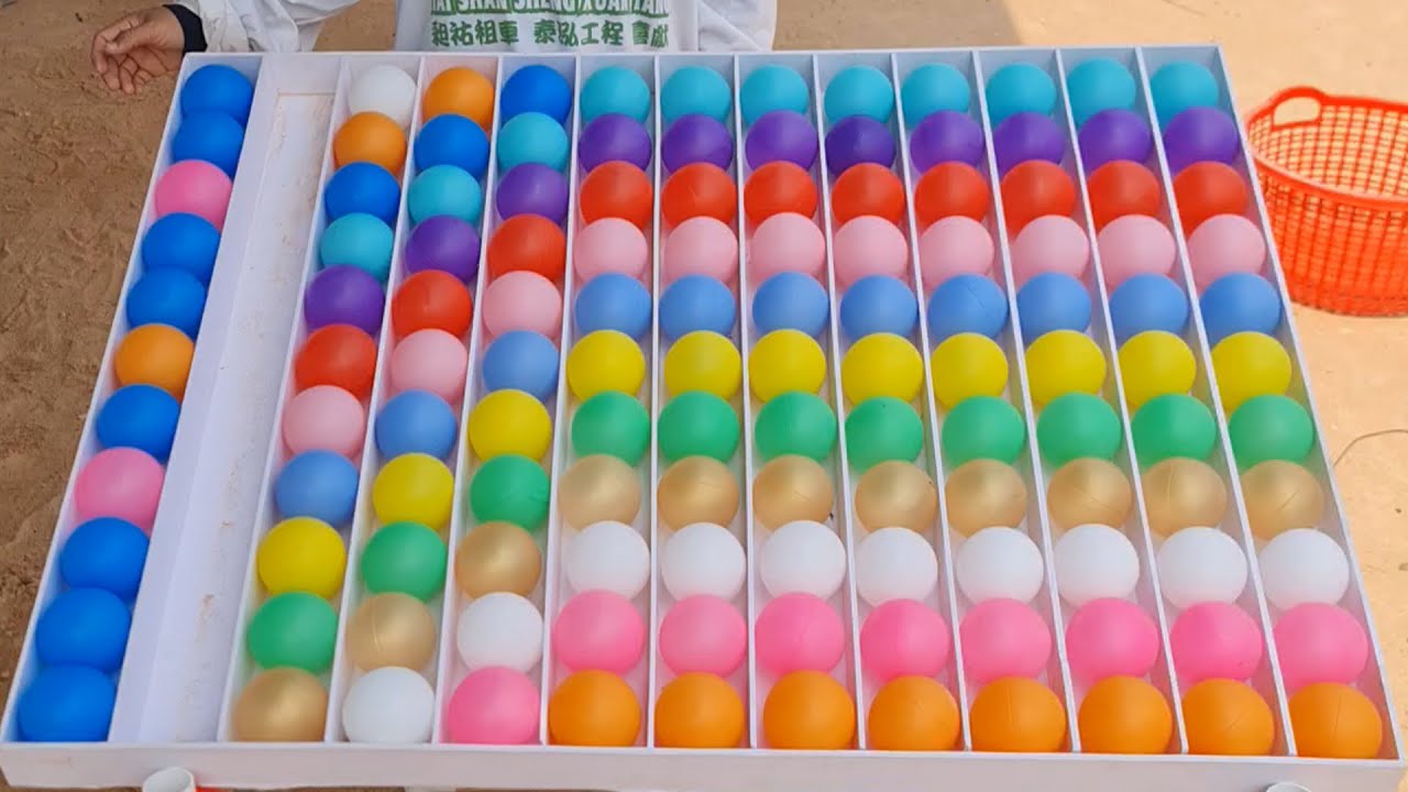 Ultimate Sorting Puzzle: Expert vs. Beginner - Who Will Conquer the ...