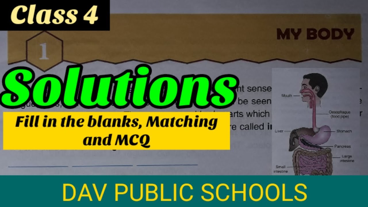 DAV Science class 4 Chapter 1 My Body Solutions - YouTube