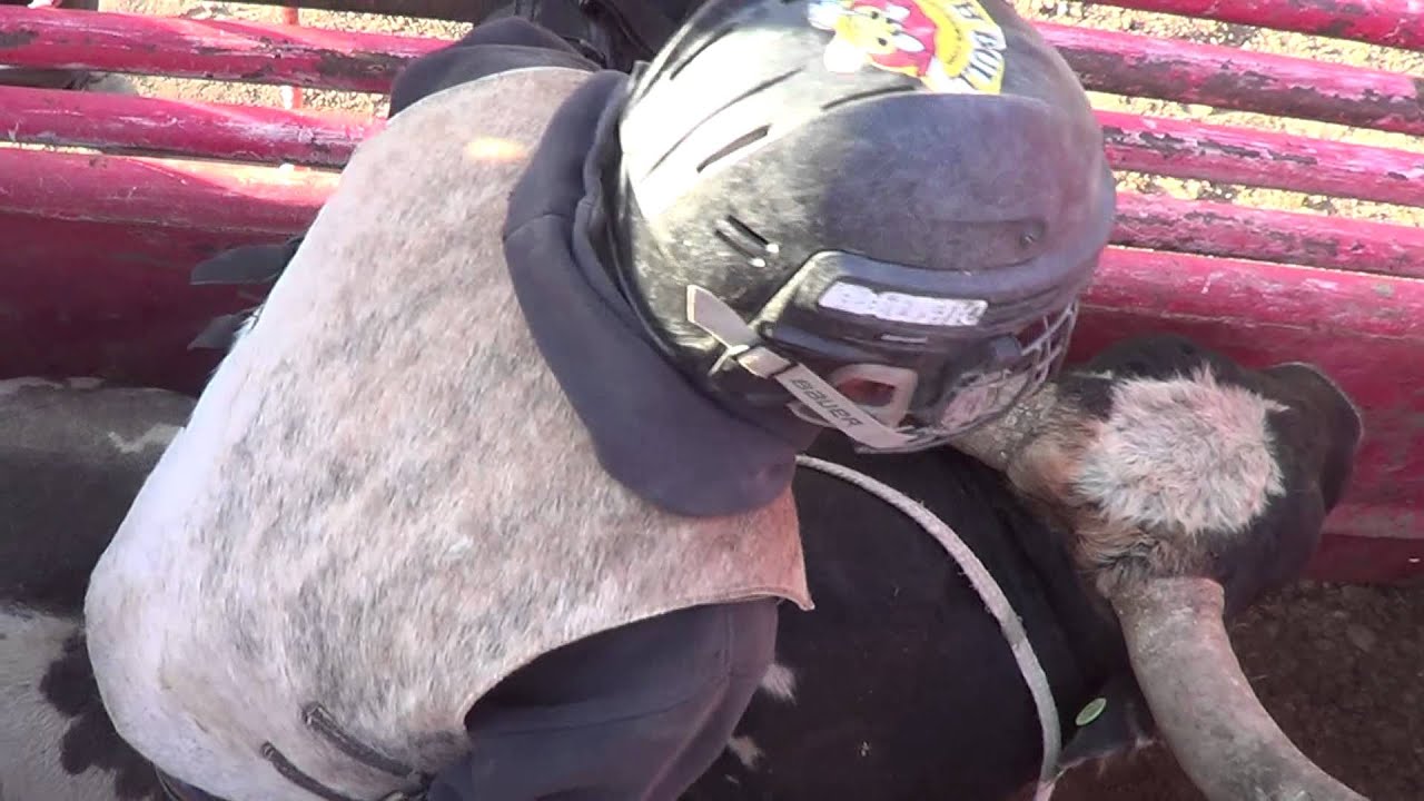 After lots of cussing and discussing maybe some crying colt sells three ...