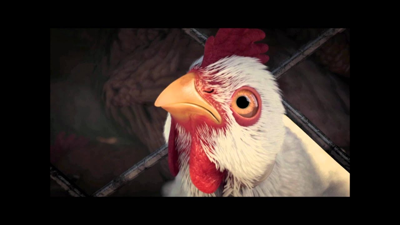 Fable III Chicken Introduction - YouTube
