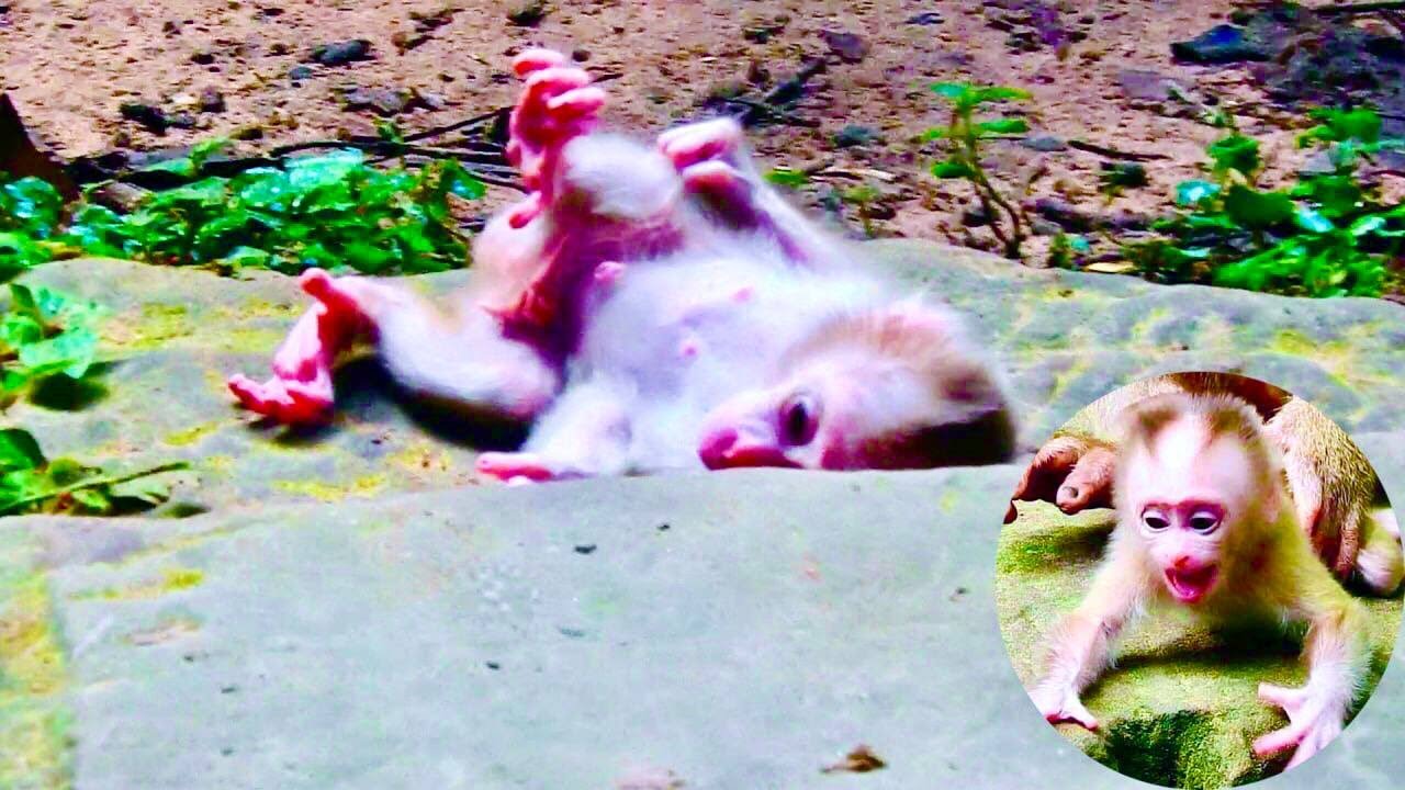 Sadly Time Adorable Newborn Baby Really broken heart with Mom - YouTube