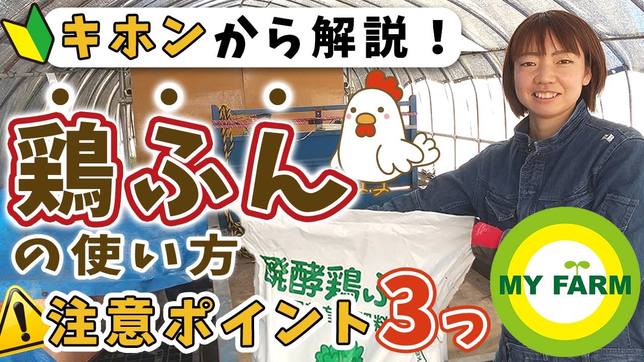 株式会社マイファーム