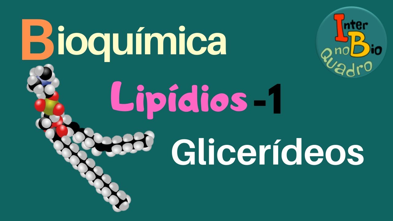 Bioquímica: Lipídios 1 - Introdução e Glicerídeos - YouTube