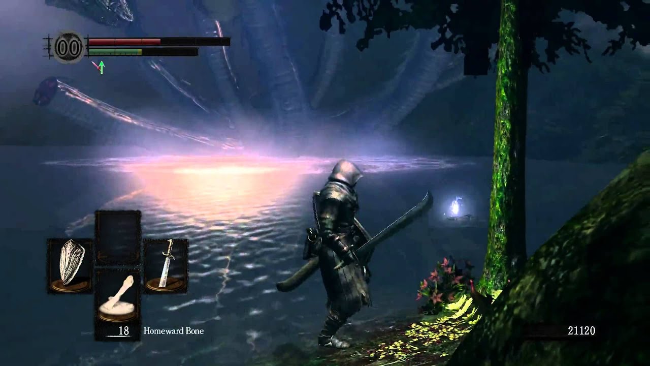 Dark Souls Hydra(Darkroot Basin) - YouTube