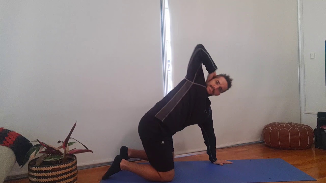 Cuadrupedia con rotacion de tronco - YouTube