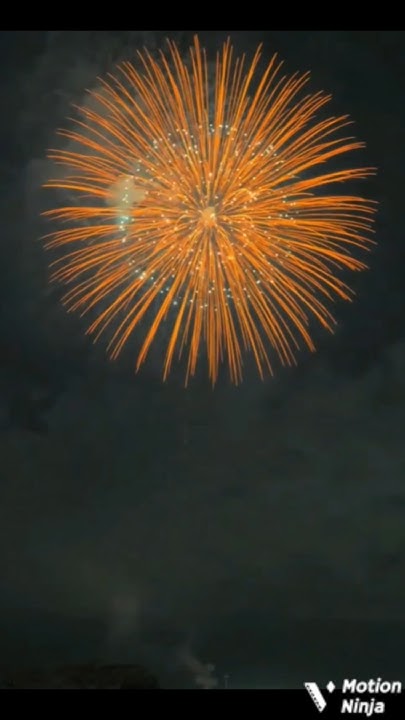 Beautiful Firecracker 💥🧨#firecracker #fireworks #happynewyear #trending #shorts #2025 # ...