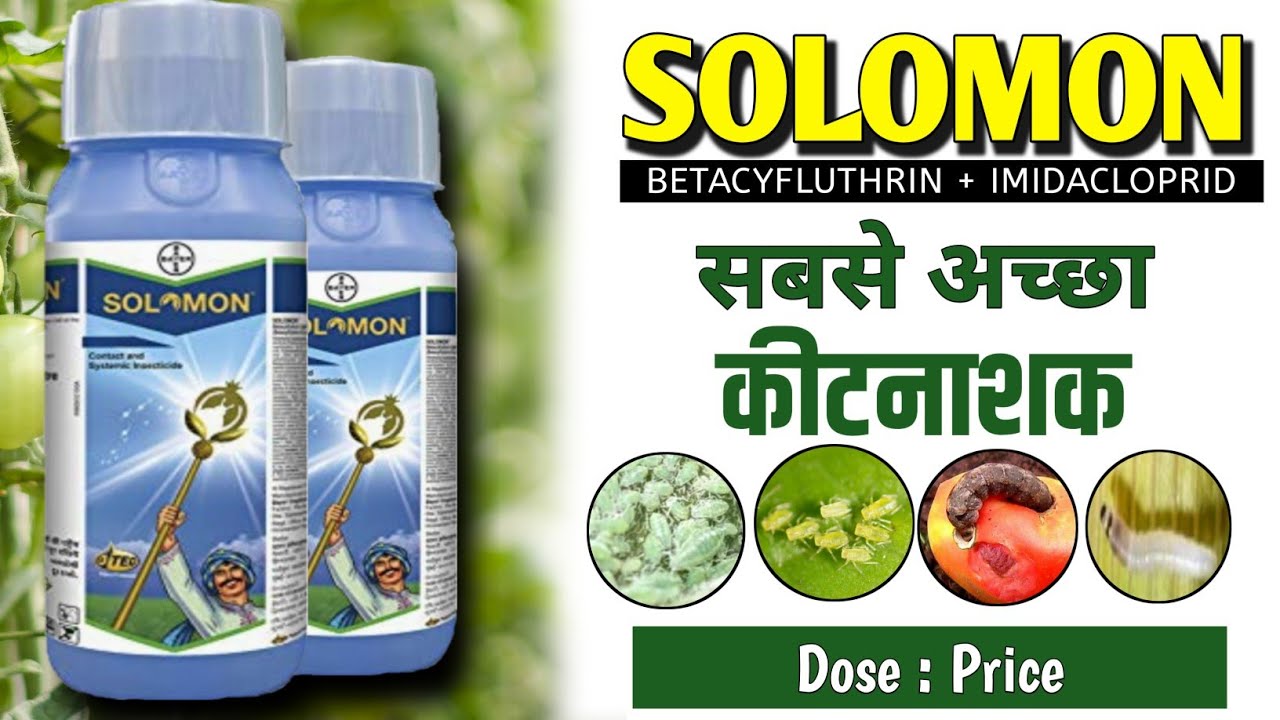 Solomon Insecticide | Bayer Solomon Insecticide | Betacyfluthrin ...