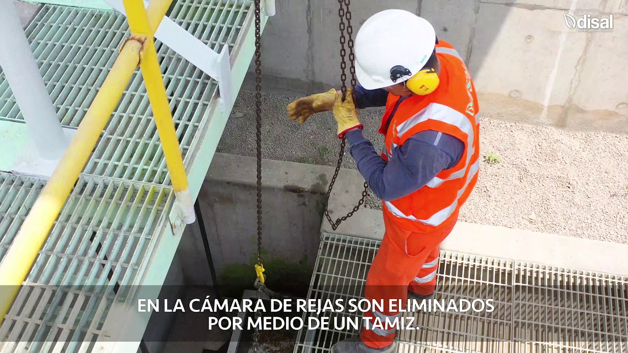 DISAL PERÚ - Sostenibilidad. Marzo 2020. - YouTube