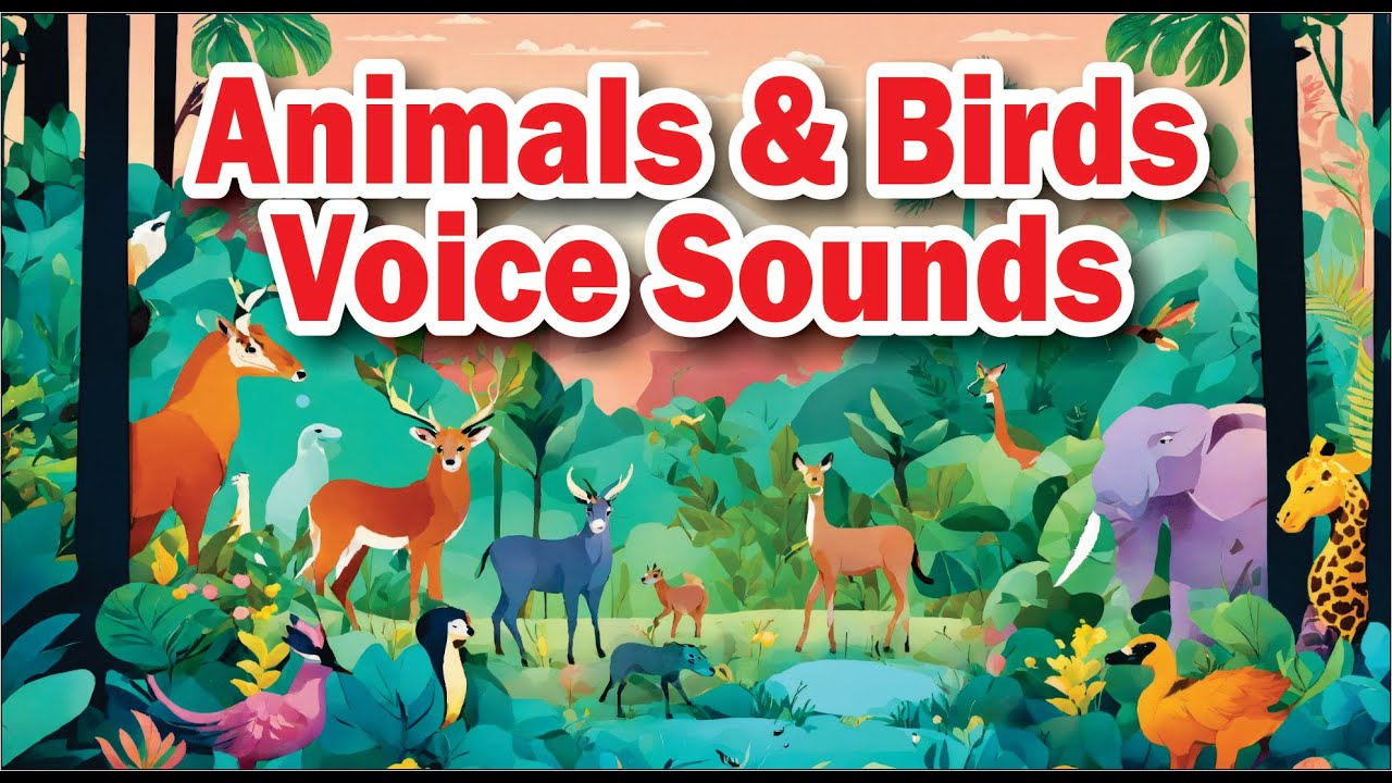 Animals & Birds Voice Sounds - YouTube