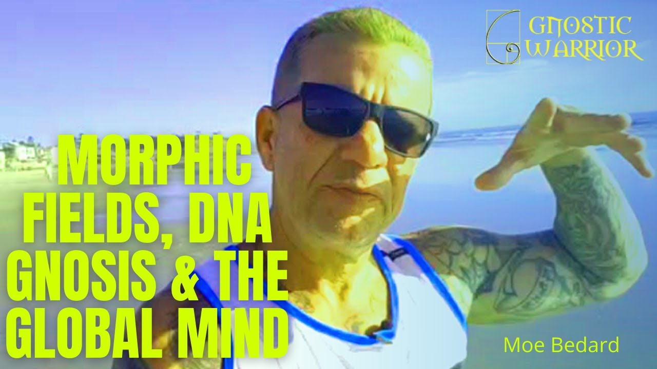 Morphic Fields, DNA Gnosis & the Global Mind - YouTube