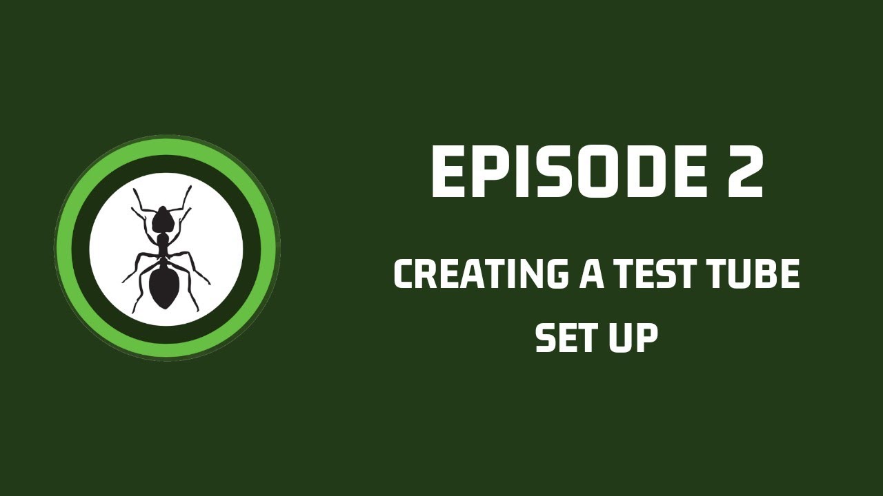 Creating a test tube set up for your new queen ant. - YouTube