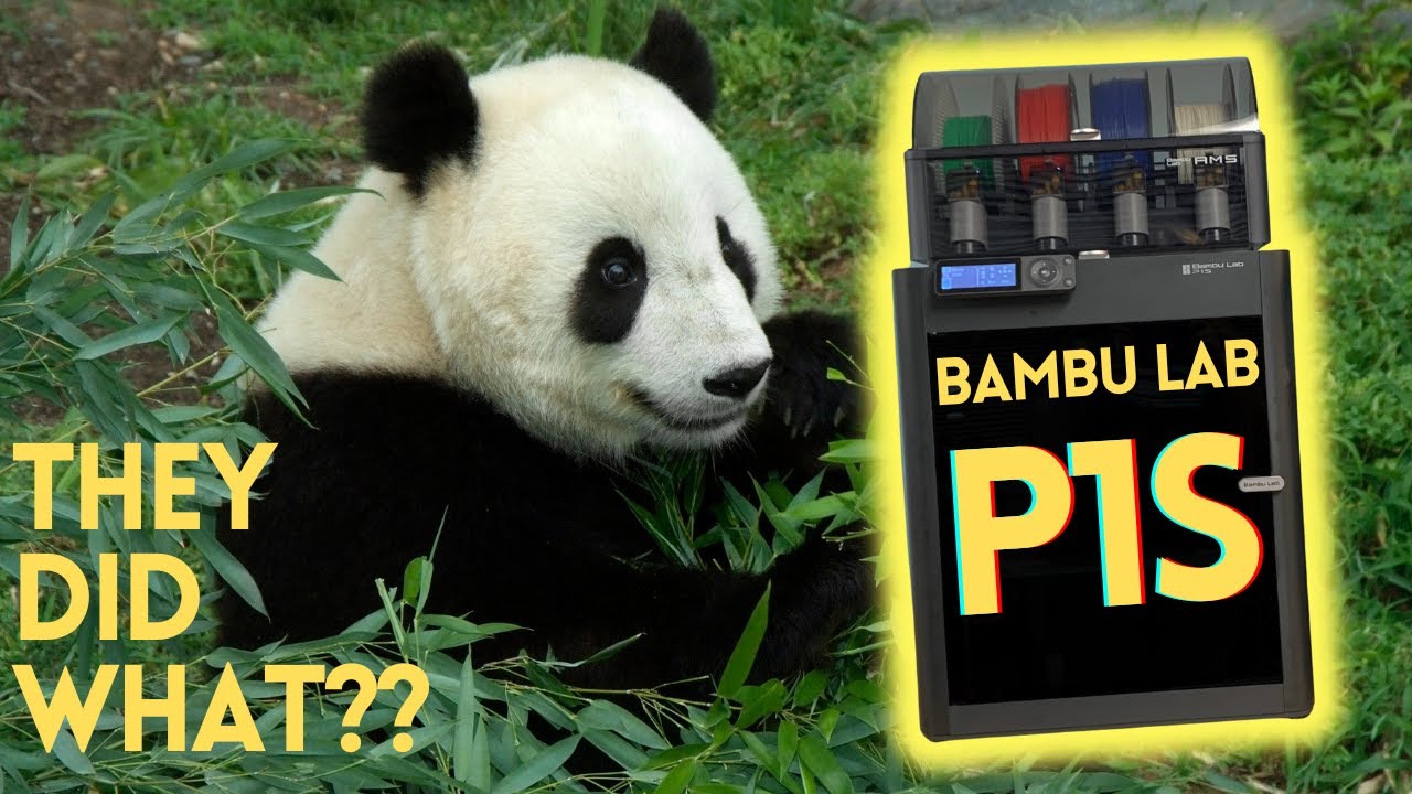 P1P vs P1S: Which is better?? - YouTube