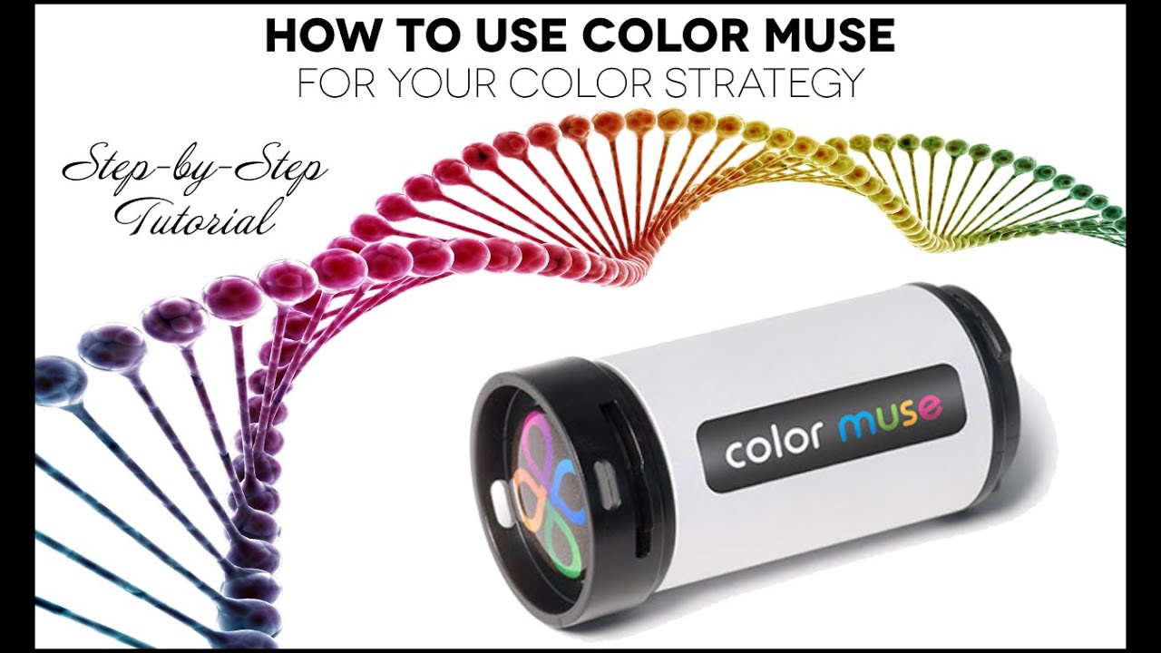 How To Use Color Muse When Working with a Color Strategist for Your ...